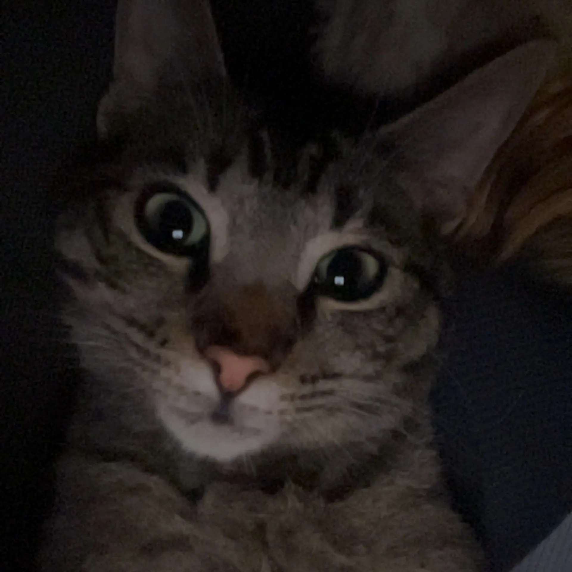 Peach Riot Rise Up Series Figures | Blind Box - POP MART (Canada)