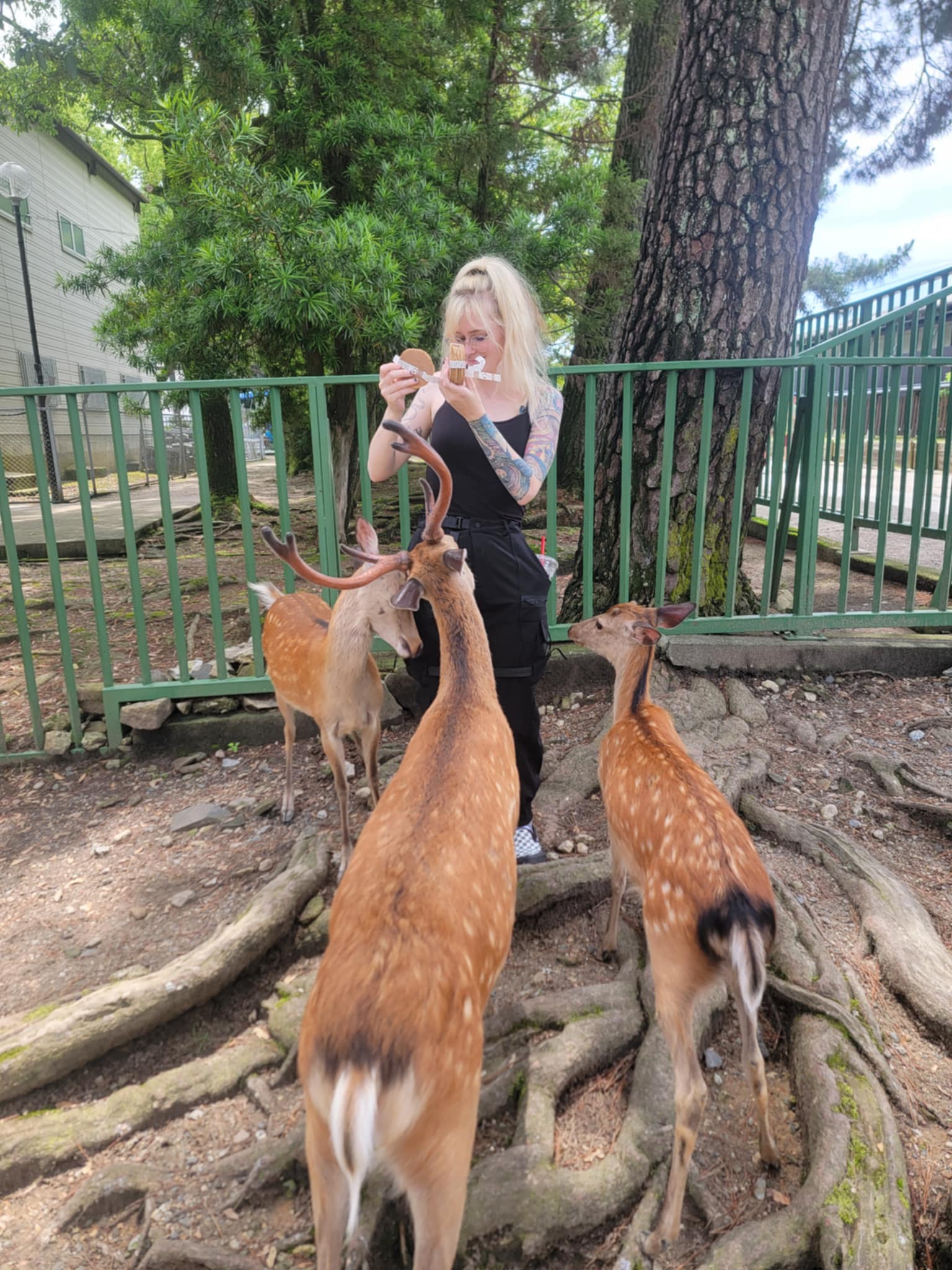 inosoul's Lucid Dreams Series Figures | Blind Boxes - POP MART (United ...