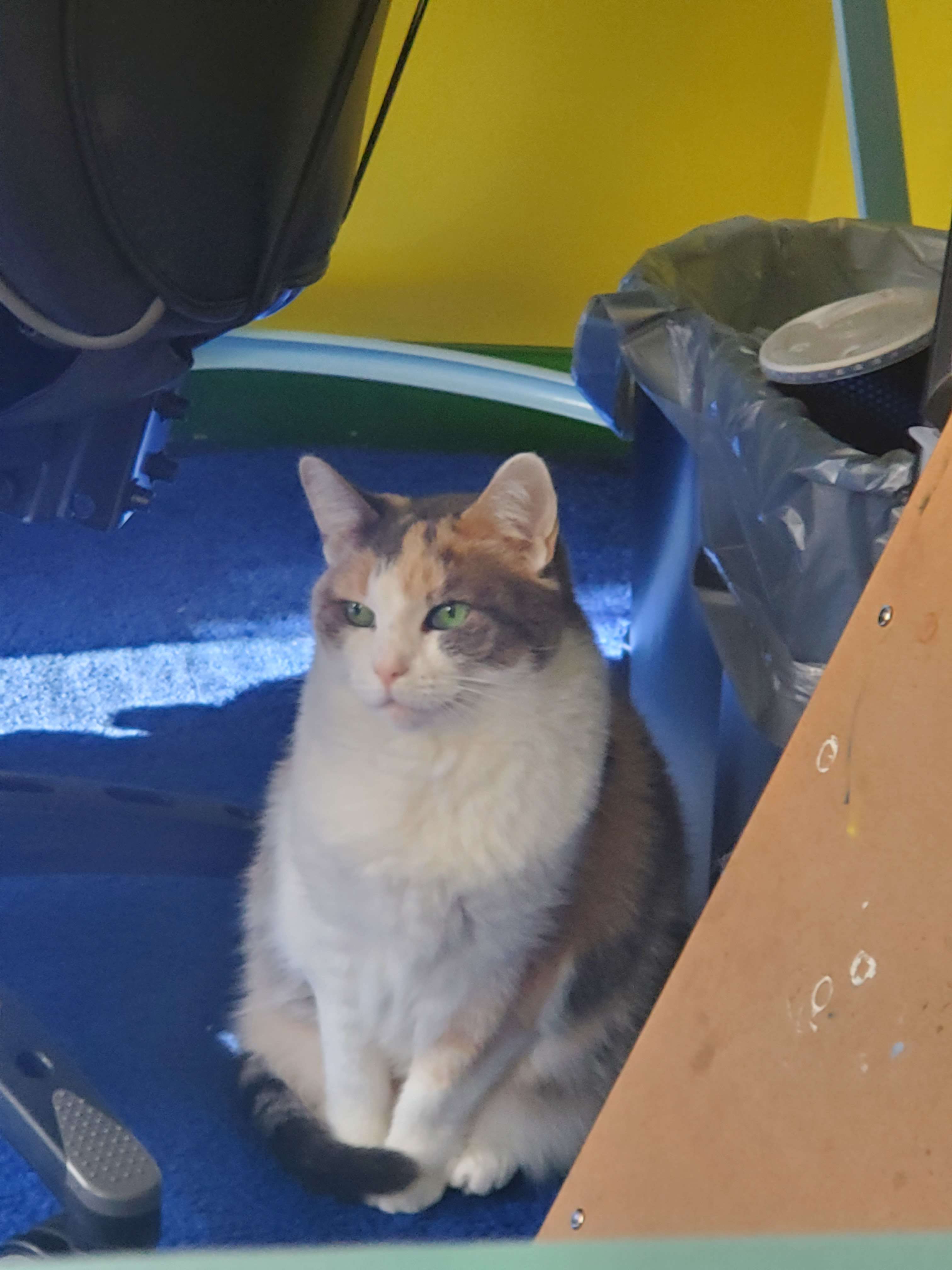 KUBO 24/7 YOU Series Figures - POP MART (United States)