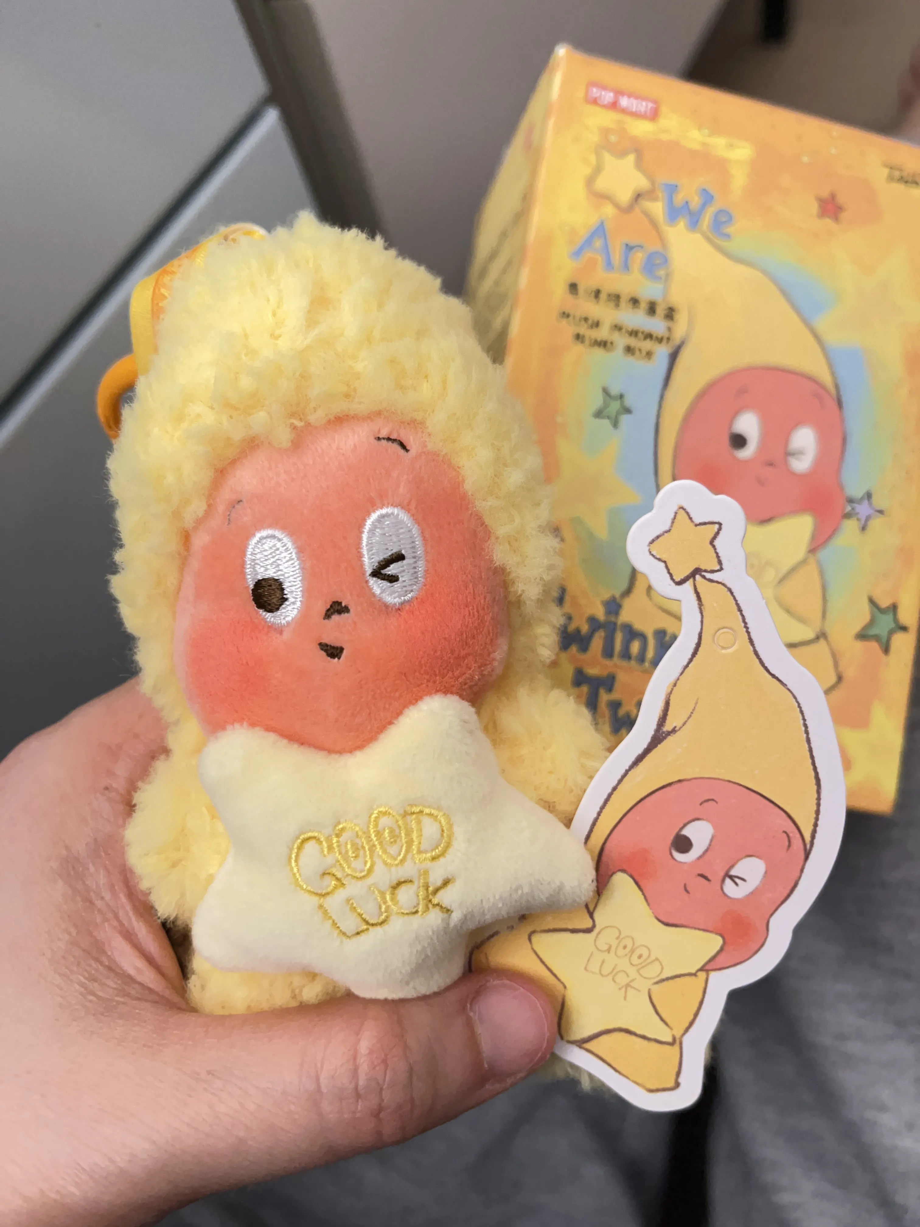 We are Twinkle Twinkle Series-Plush Pendant Blind Box | Blind Boxes ...