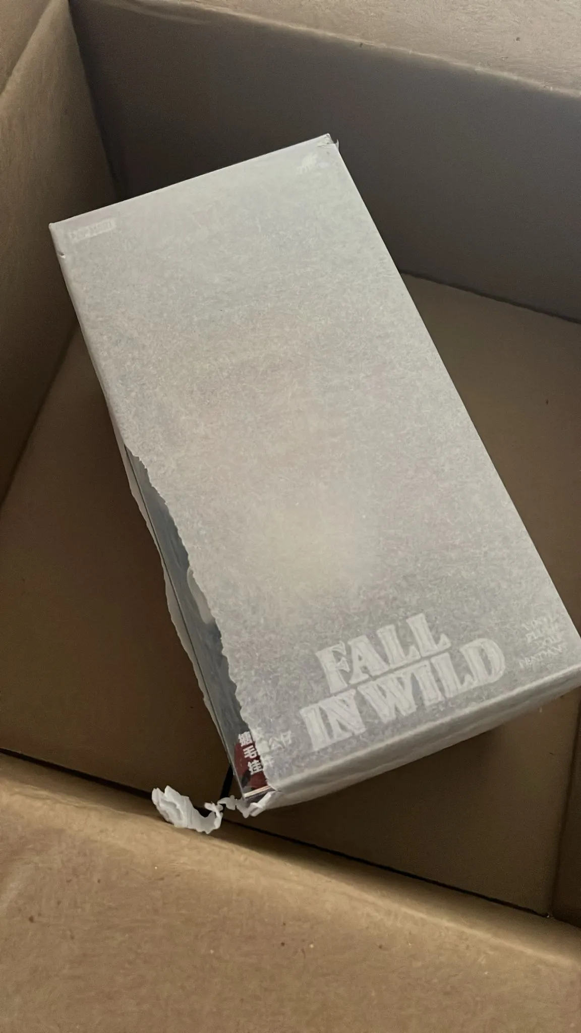 THE MONSTERS FALL IN WILD SERIES | Accessories - POP MART (United States)