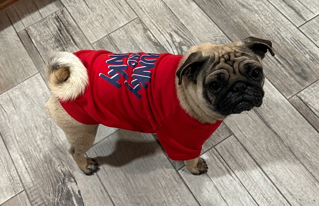 Classic Bag Series-LABUBU Berber Fleece Backpack (Brown) | Bags - POP ...